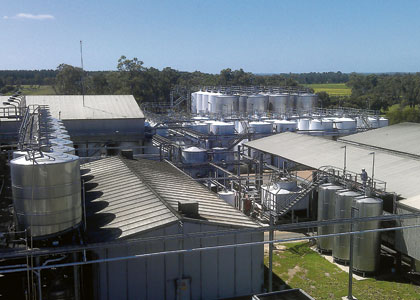 Bigger Fogarty targets Asia wine growth