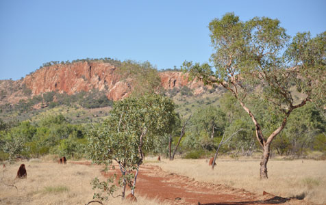 Chinalco subsidiary backs Altona's Roseby
