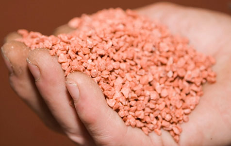 Reward hit with $33,000 fine