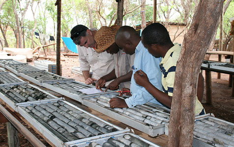 IMX up on nickel interest