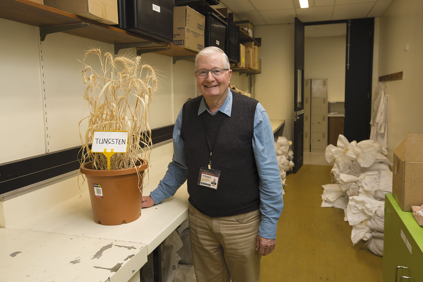New wheat variety tipped to boost competitive edge