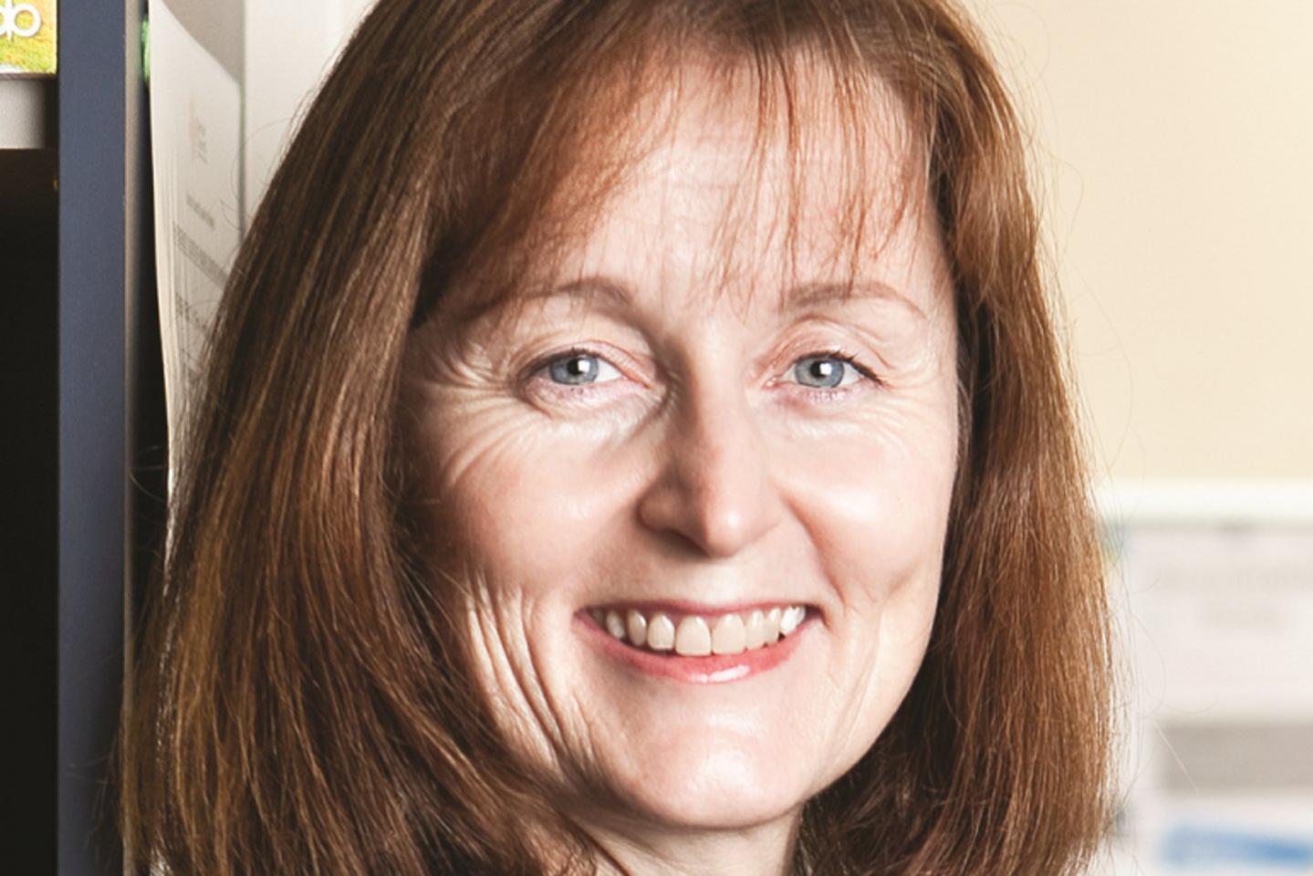 Vinnies appoints new CEO