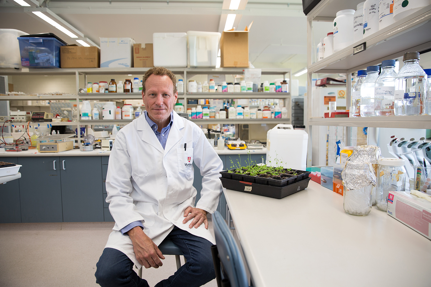 Zelda in cannabis autism trial