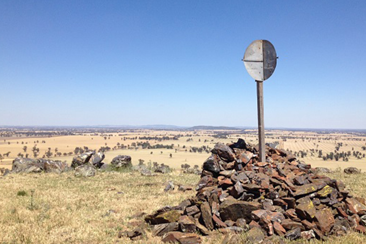 Lycopodium chosen for cobalt study