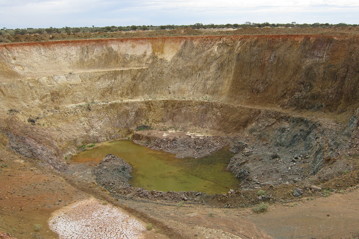 Kin responds to leaked report