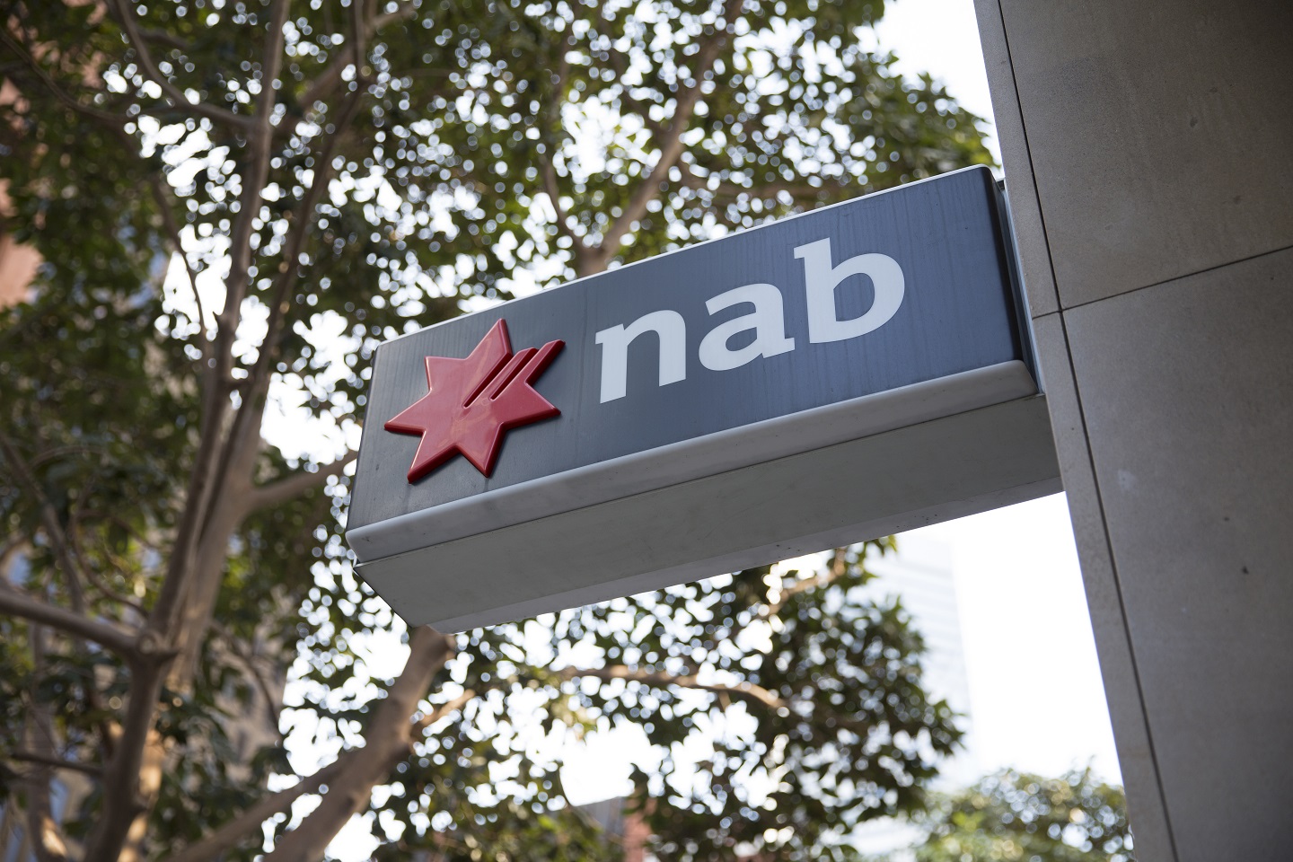 NAB shares rise as Chronican named chair