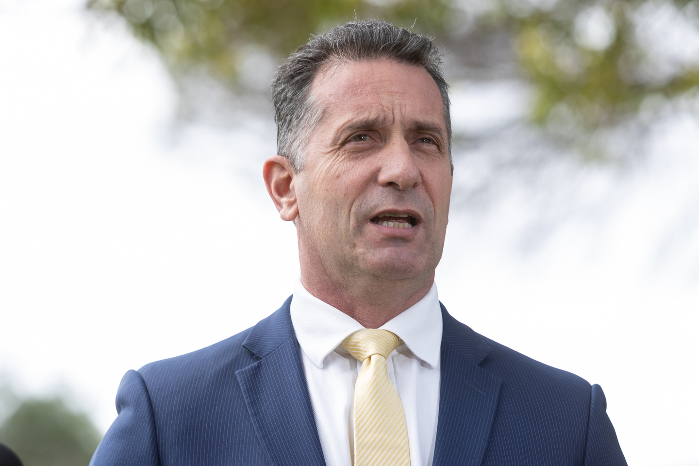 Pundits pile on Papalia