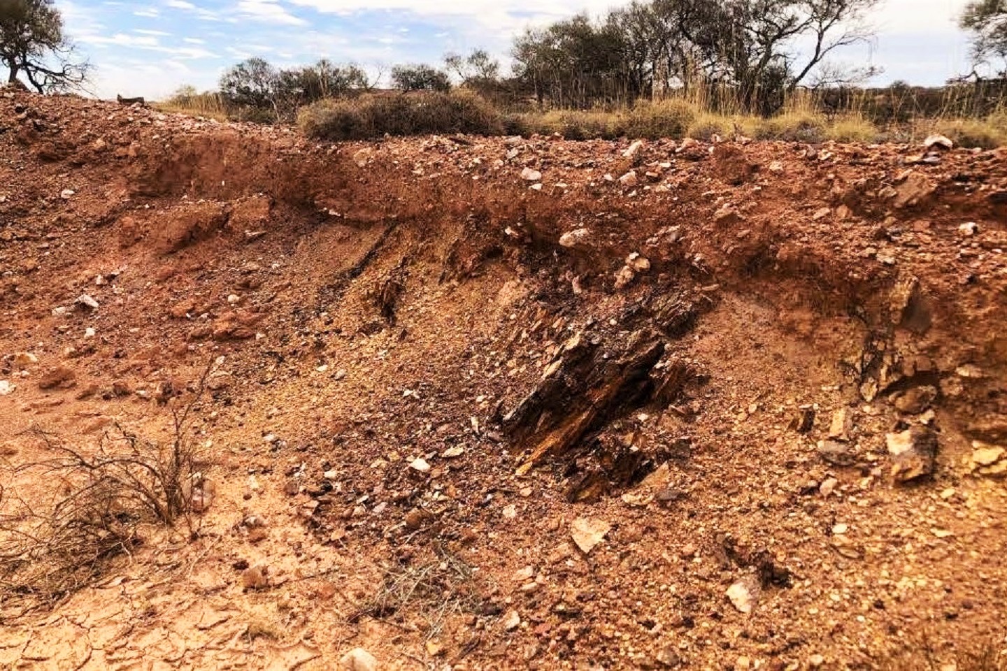 Rods spinning for Aruma in WA gold hunt