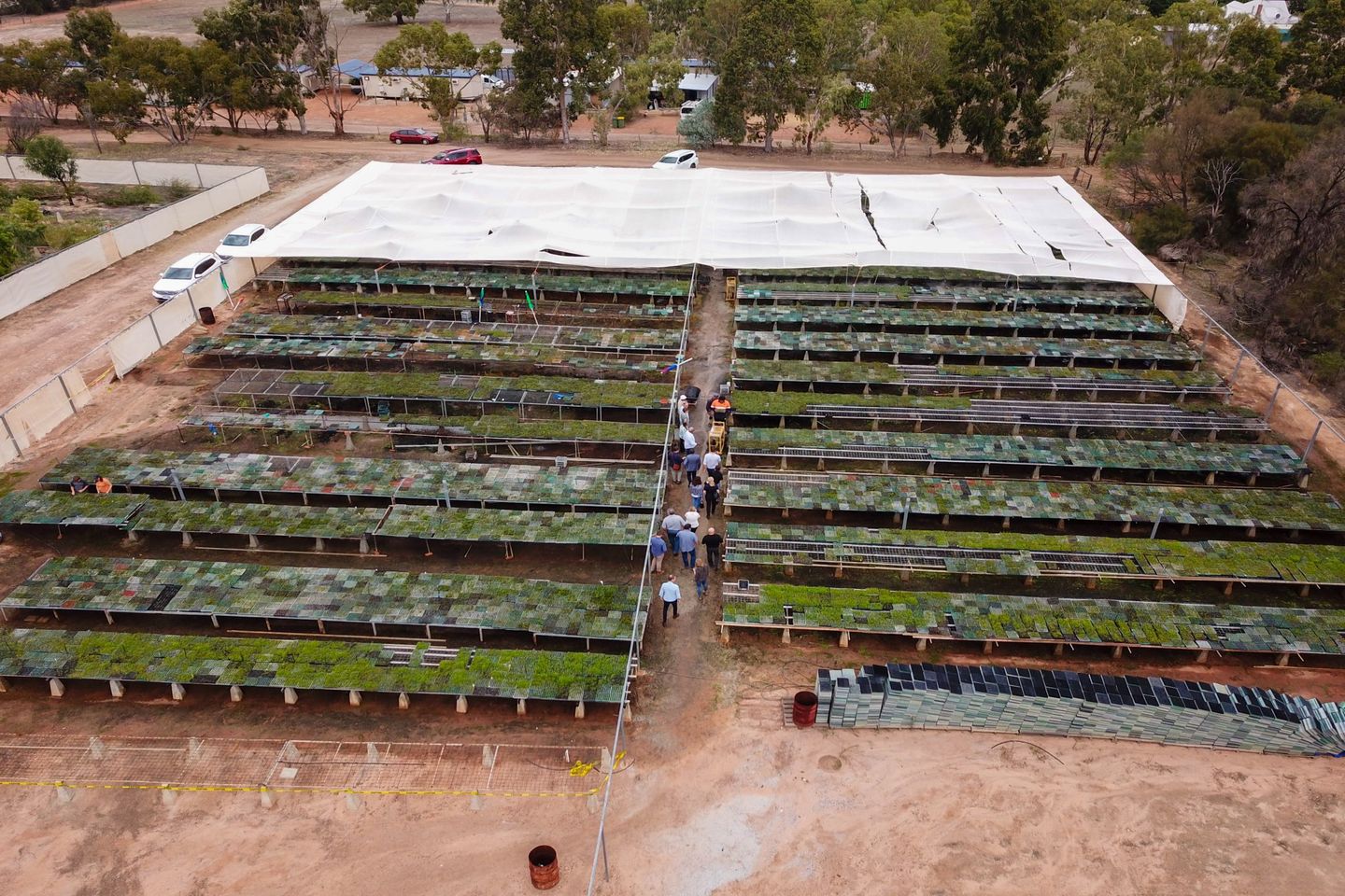 Grower group opens Boola Boornap tree farm