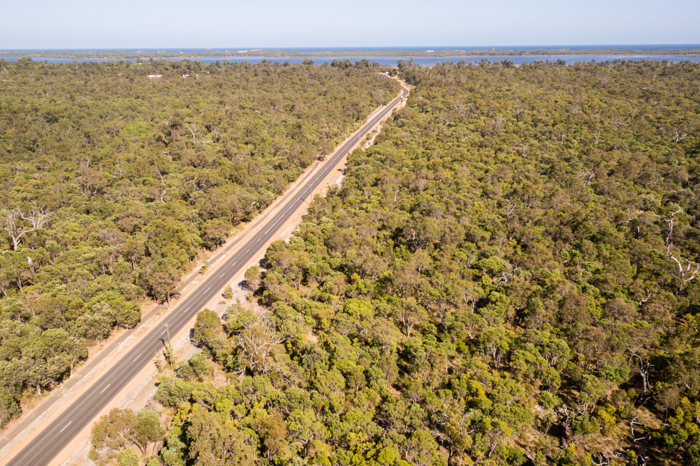 Kemerton environment move, Albemarle delays