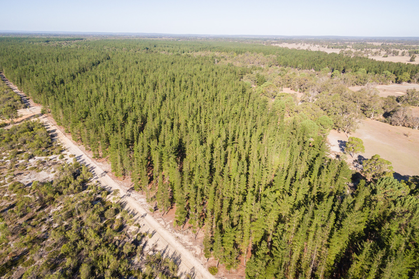 Chevron reveals Gorgon offset plan