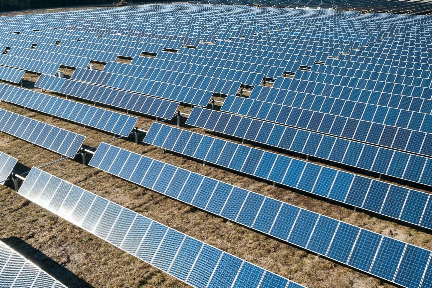 GenusPlus flags move to renewables