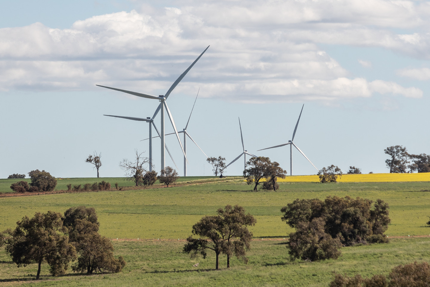 Alinta pushes for power reform