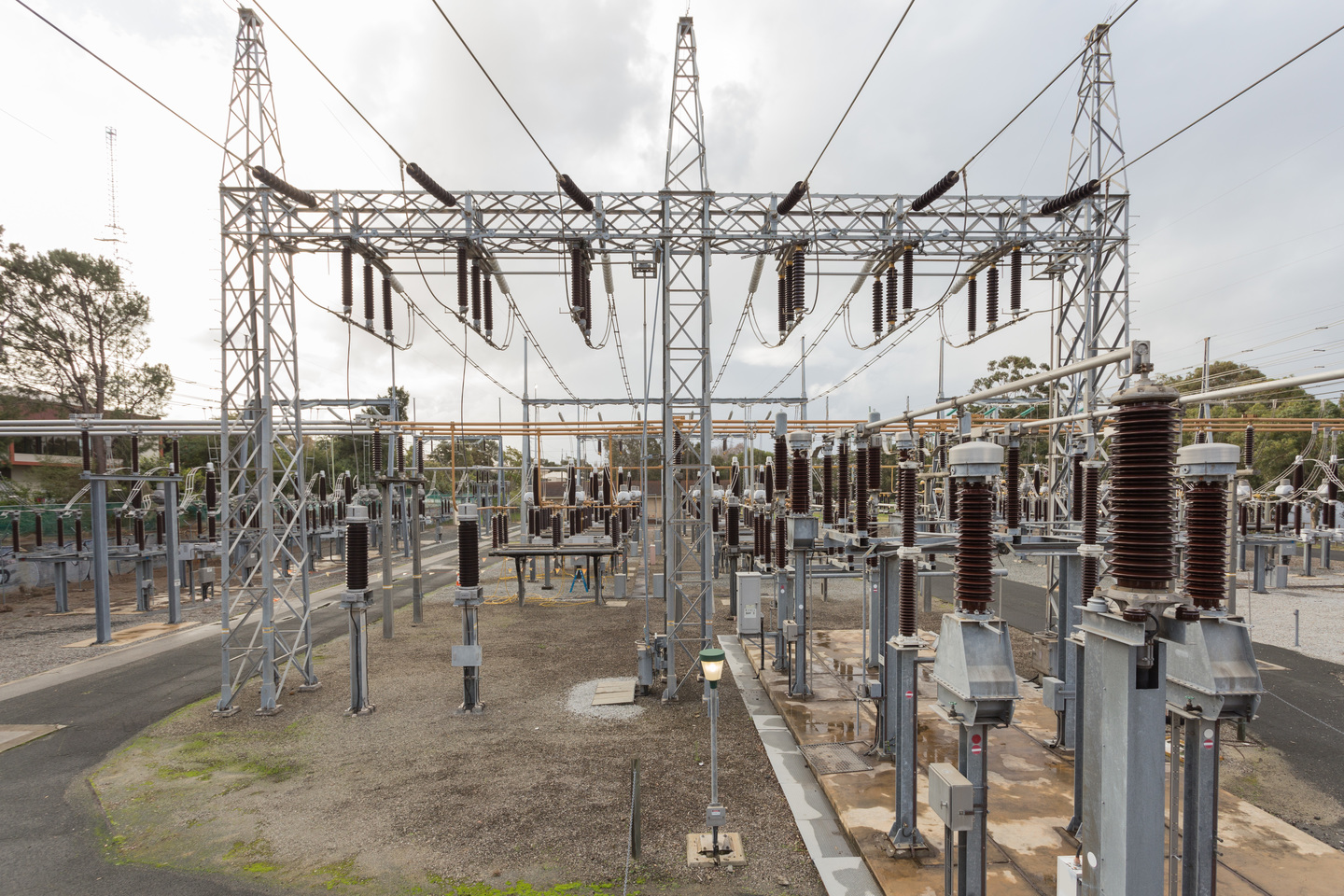 Barbaro appointed Western Power boss