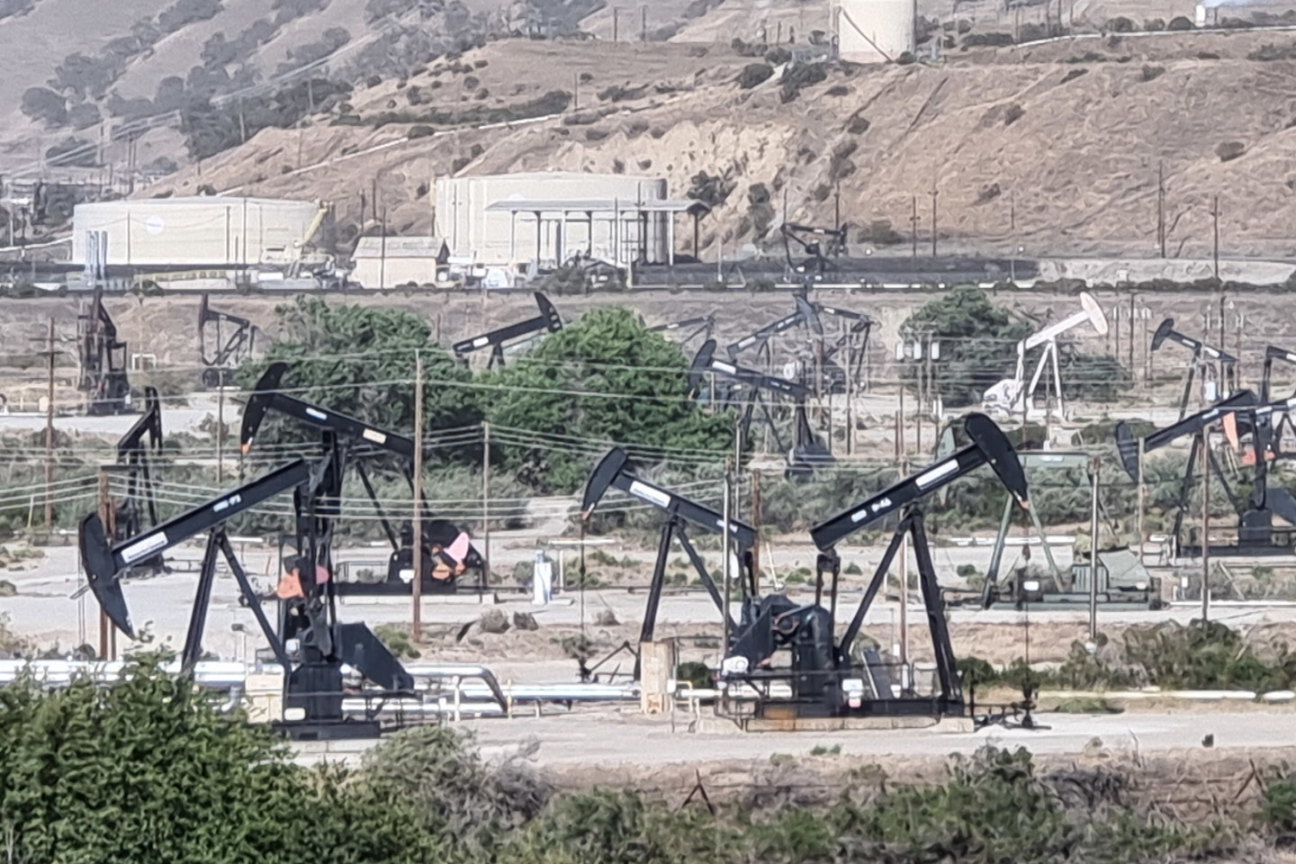 Rinehart, Beach raise the stakes on Warrego