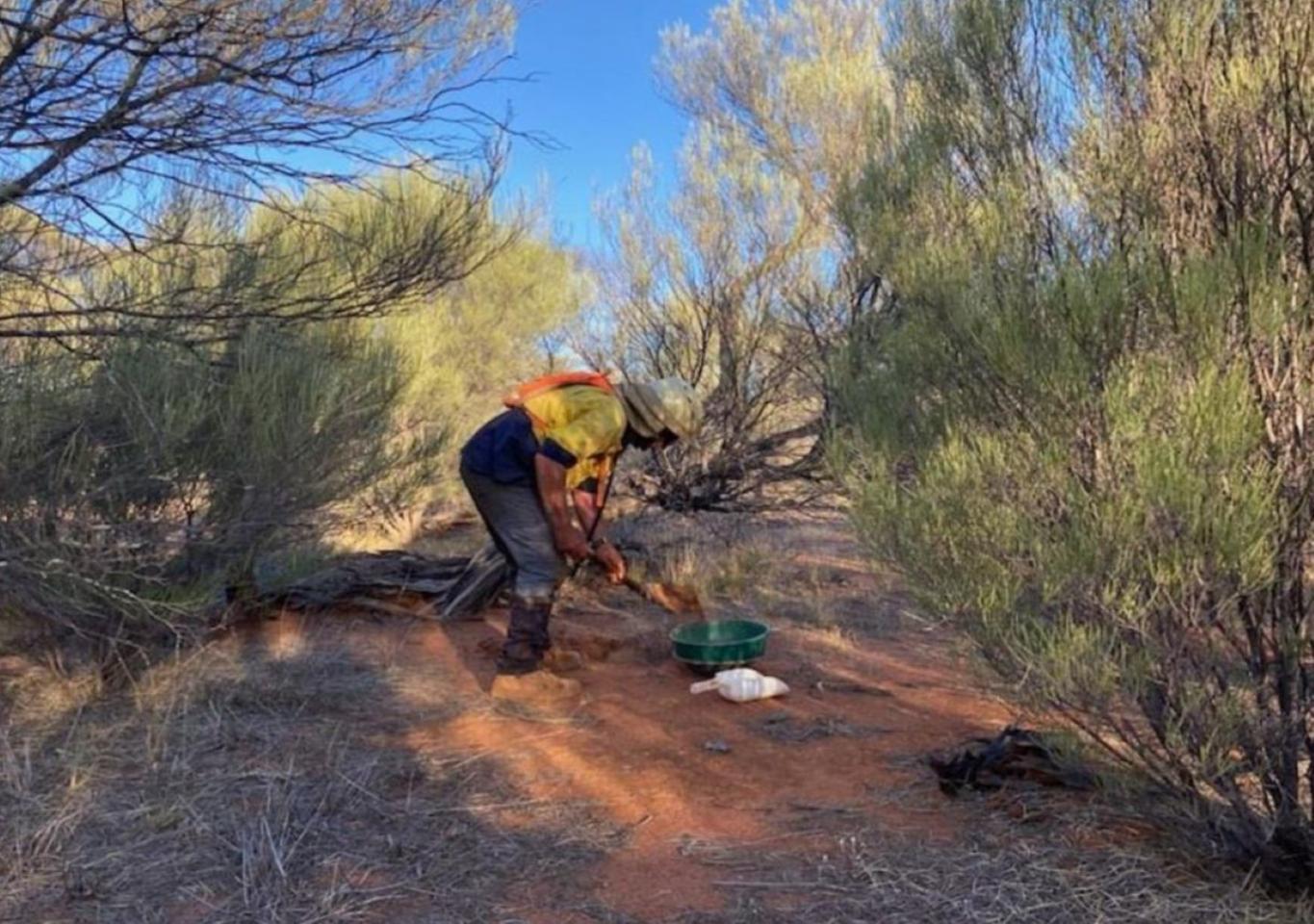 Terrain launches hectic exploration year with gold hunt