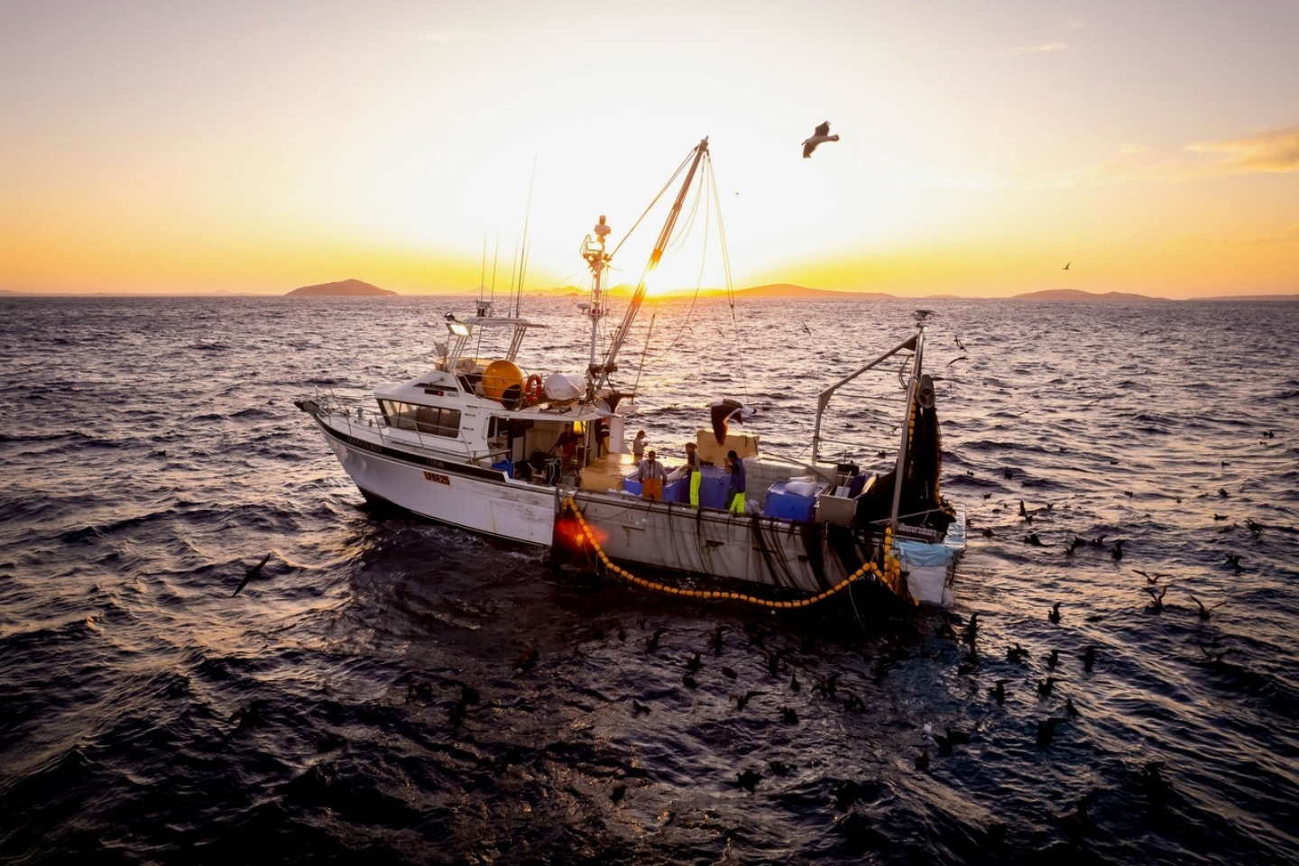 Fish fight pits locals against outsiders