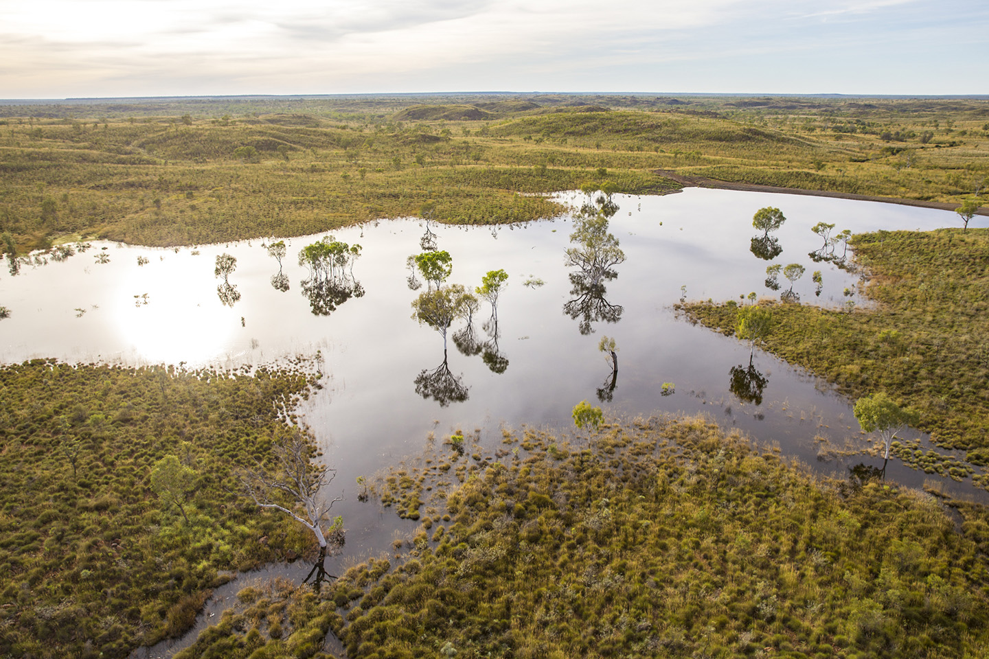 Foreign-owned WA pastoral empire up for sale