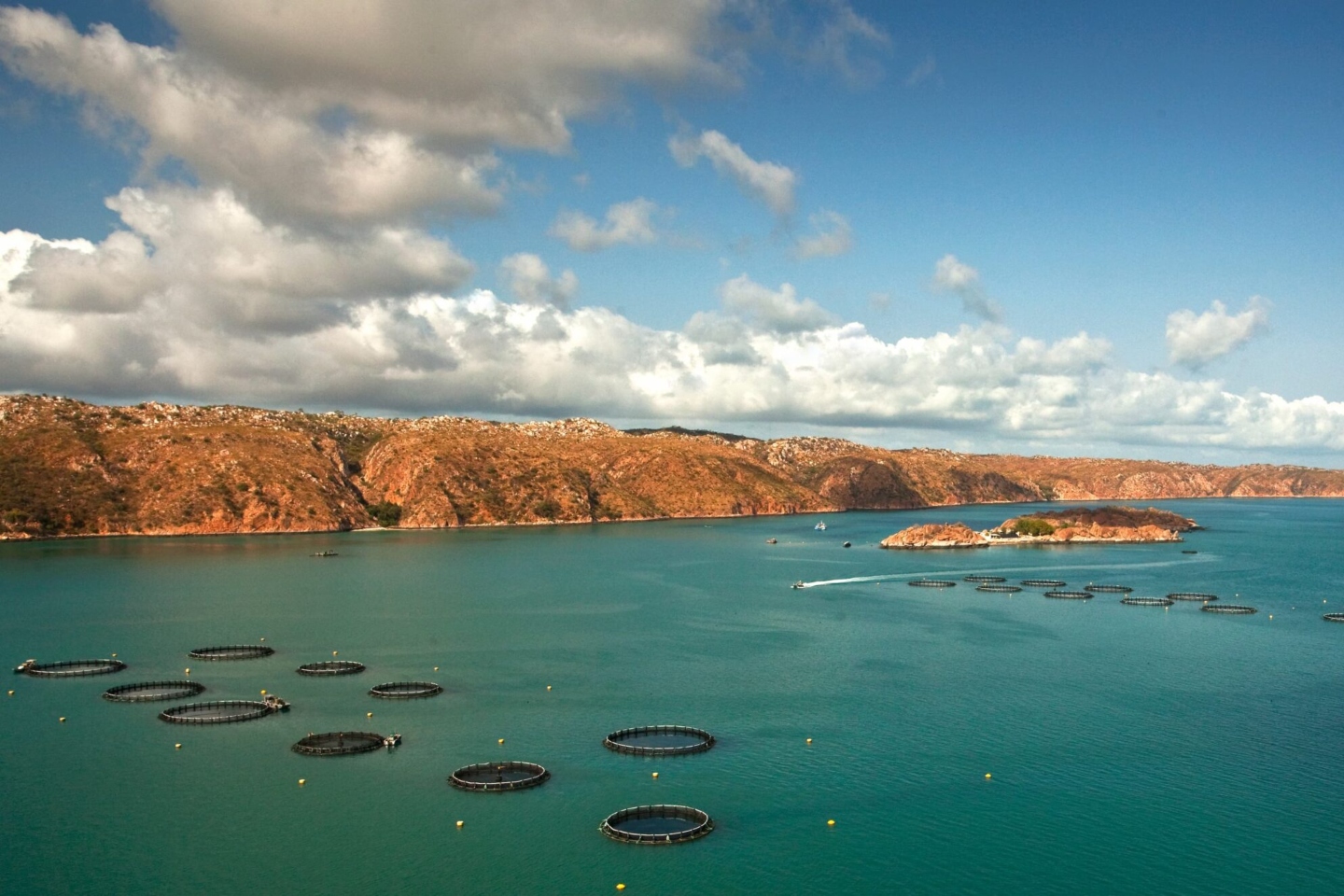 Tassal gains $5m grant for barramundi farm growth