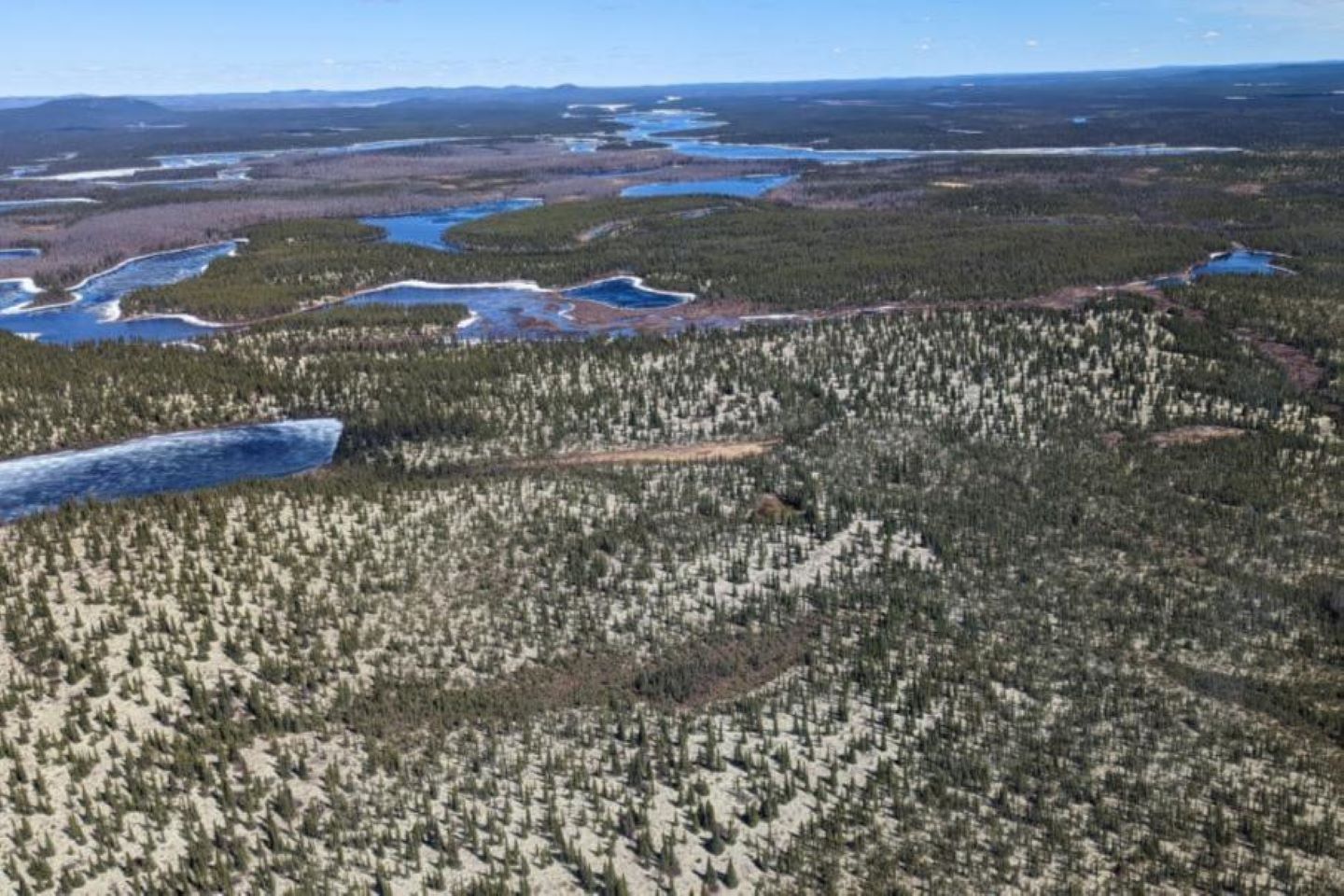 Canaccord Genuity Australia