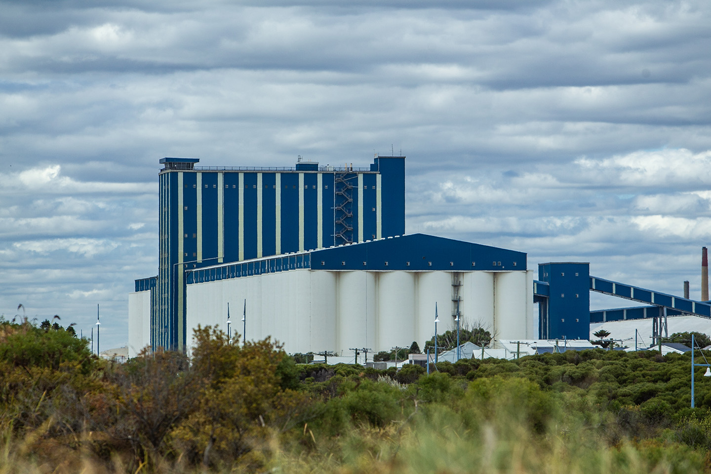 WA barley beguiles Brazil brewers