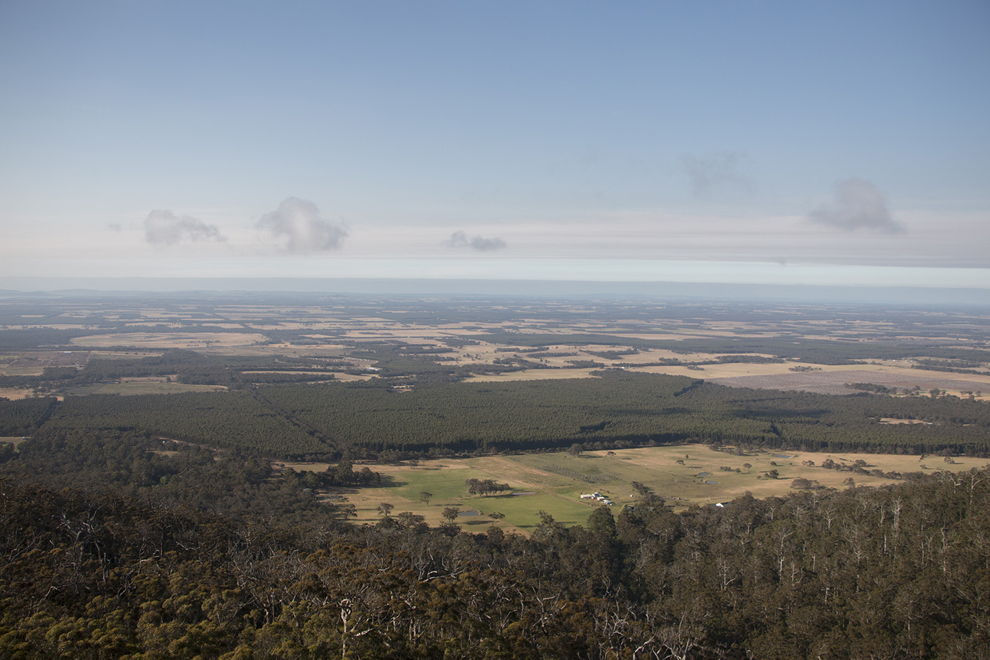 Qantas, miners back carbon fund