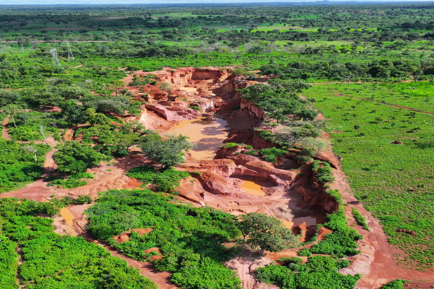 Aurum jags huge 277g/t gold hit at Boundiali in Côte D’Ivoire