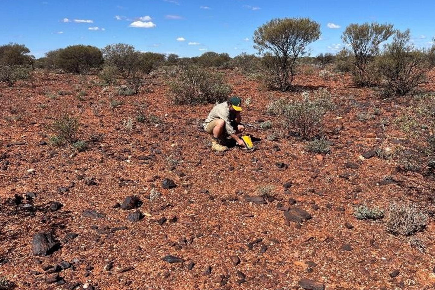 Legend snaps up bargain Leonora gold project in WA