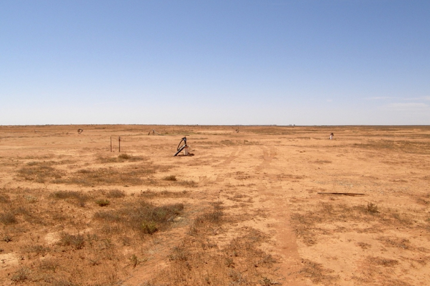 Dusci begins as Boss MD