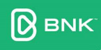 BNK Banking Corporation