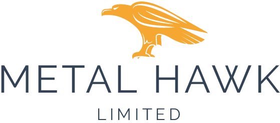 Metal Hawk